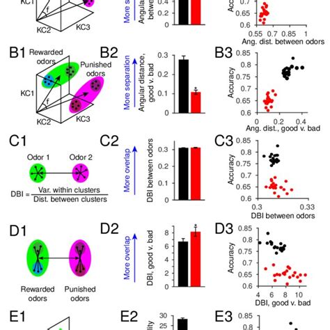 Structural Connectivity Revealed By The Connectome Predicts Resting