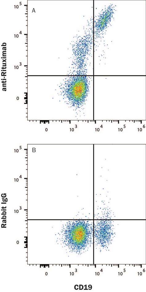 Anti Rituximab Anti Idiotype Pe Conjugated Antibody Fab9630p 100 R