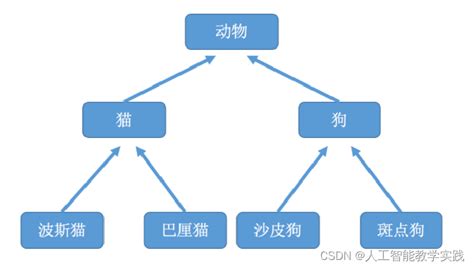 Python编程基础 继承的概念python继承的概念 Csdn博客