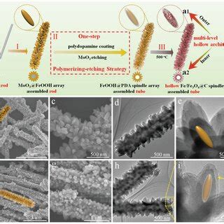 A Schematic Process Of Constructing Multilevel Hollow Architecture Of