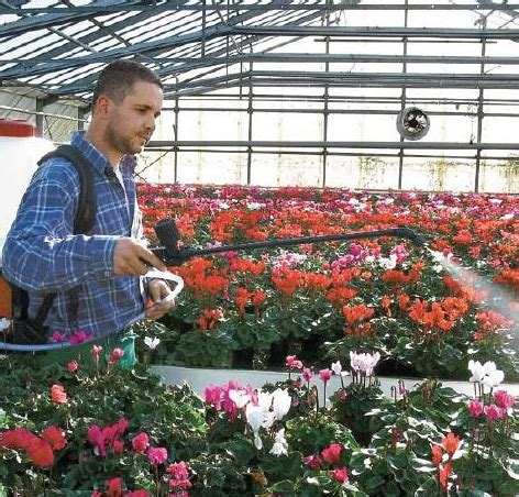 Опрыскиватели Solo (Соло) — особенности, популярные модели