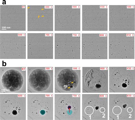 In Situ Time‐resolved Tem Image Series Depicting The Formation Of Ni Download Scientific