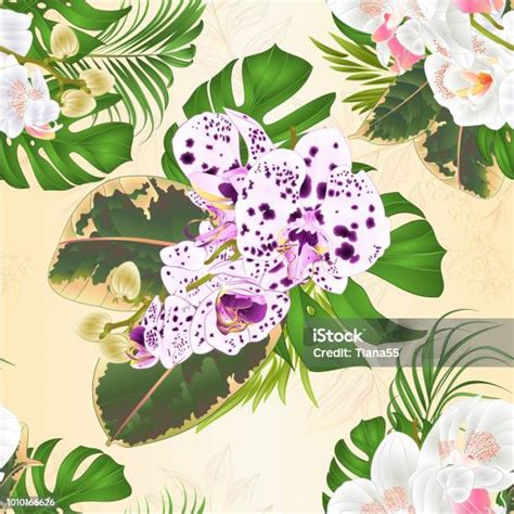 열 대와 완벽 한 텍스처 꽃다발 꽃 꽃 꽃이 아름 다운 흰 난초 팜 Philodendron Ficus 빈티지 벡터 일러스트 편집 0명에 대한 스톡 벡터 아트 및 기타 이미지