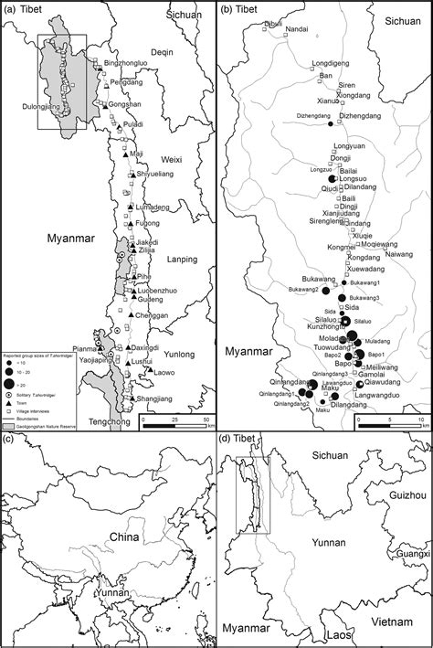 Distribution And Conservation Status Of Shortridge S Capped Langurs