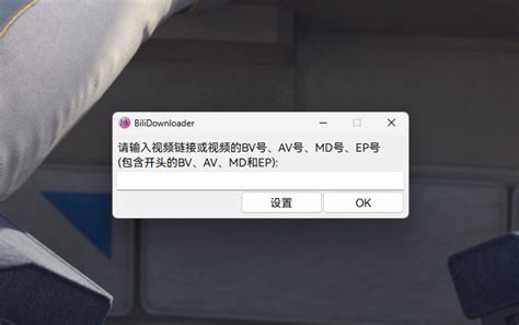 [win] bilidownloader 开源b站下载工具 小羿