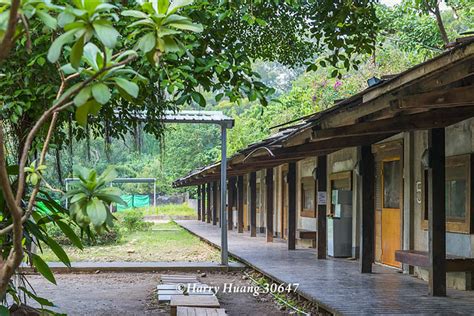 Harry30647彰化八卦山成功營區軍營營舍原陸軍砲兵營軍事設施學習綠色環境學習營地八卦山風景區彰化縣彰化市