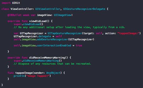 Turn A Uiimageview Into A Button In Swift Swiftlevelone