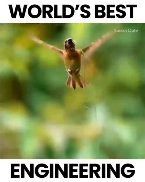 Video Amit Kumar On Linkedin Learningandgrowing Learningeveryday