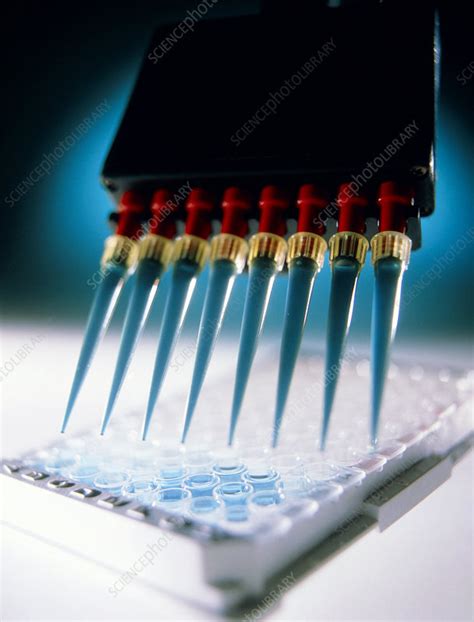 Elisa Blood Test For Antibodies To Disease Stock Image M5300346