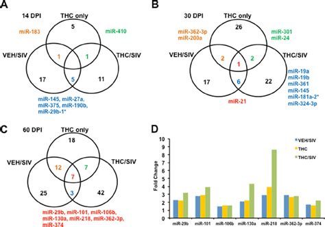 Synergistic And Additive Effects Exerted By Thc And Siv On The Download Scientific Diagram