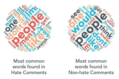 Can Artificial Intelligence Recognize Hate Speech News21