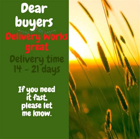 Marker Plush Bfdi Insanity From Battle For Bfb And The Power Of Two Plush Toy Idfb Tpot Etsy