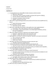 MCB2004 Asg1 Ch4 5 Docx MCB2004 Assignment 1 CHAPTER 4 5 1 In A