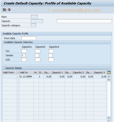 OIZO SAP Tcode Capacity Default Values