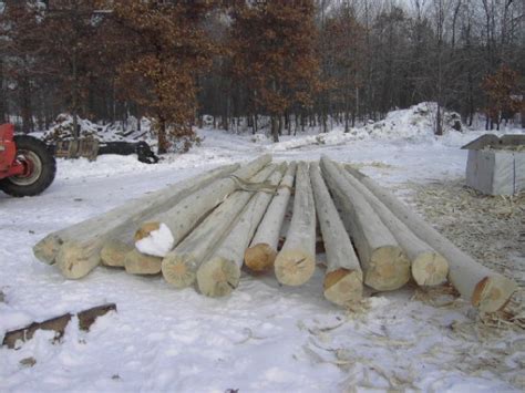 Rustic Log Homes For SALE D Shape Logs For SALE