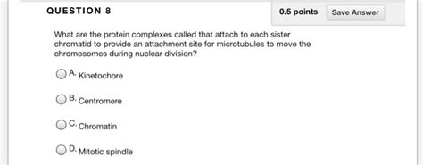 Solved Question 1 05 Points Save Answer During Prophase 1