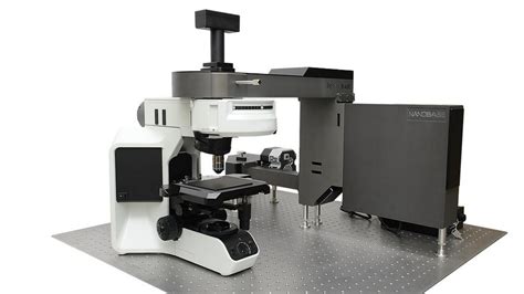 Raman Microscopes