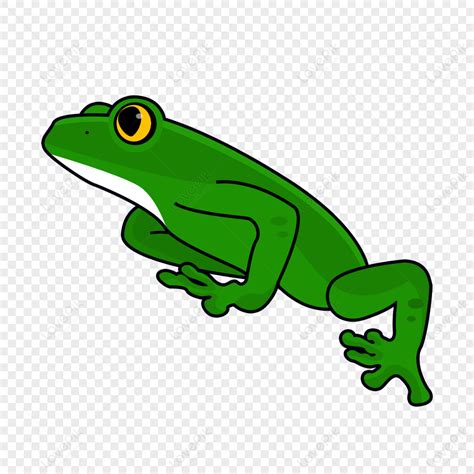 녹색 개구리 일러스트 클립 아트 요소줄무늬초록 Png 일러스트 무료 다운로드 Lovepik