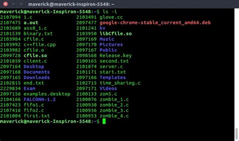 Ls Command In Linux GeeksforGeeks