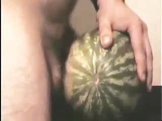 Watermelon Fuck Free Xxx Tubes Look Excite And Delight Watermelon Fuck Porn At Hotntubes Com
