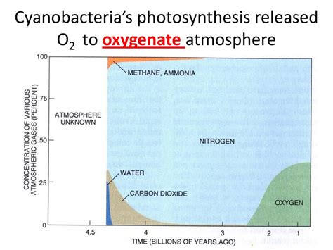 Do Now What Does It Mean For A System To Be In Dynamic Balance Ppt Download