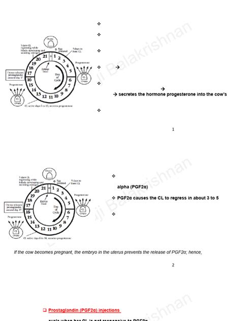17 Estrous Synchronization Superovulation Embryo Transfer Pdf Gonadotropin Endocrine System