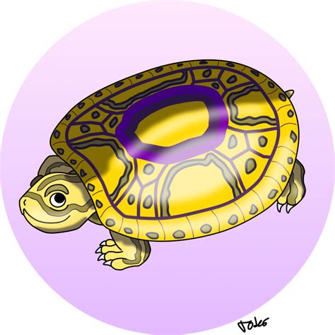 Download Gsll Turtle Intersex Png Image With No Background