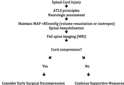 Treatment Algorithm For Acute Traumatic Spinal Cord Injury Adapted Treatment Algorithm For Acute Traumatic Spinal Cord Injury Adapted