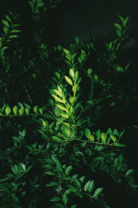 Enabling Environment Assessment Photos Download The Best Free Enabling Environment Assessment