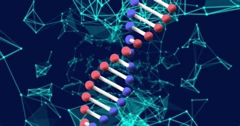 Animation Of Dna Structure With Networki Stock Video Pond