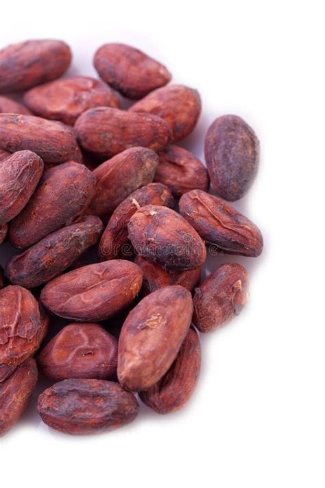 Cacoa Bean Stock Image Image Of Seed Farm Plantation 94068595