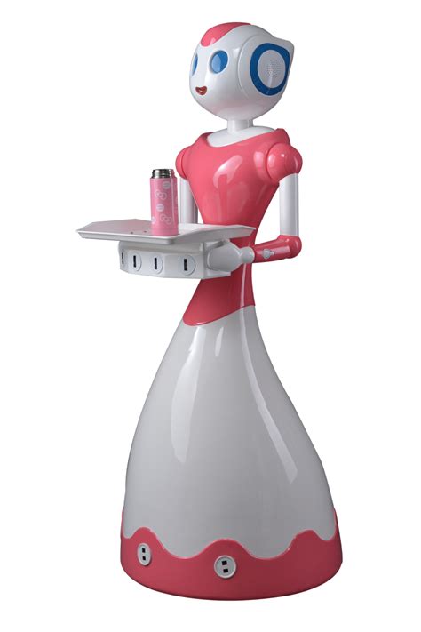 Talking Humanoid Advanced Service Robot For Sale