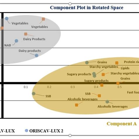 The Exploratory Factor Analysis Efa Was Used To Identify Two Major