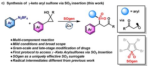练仲教授科研成果｜新型so2替代试剂sogen合成γ 酮砜类化合物 百灵威