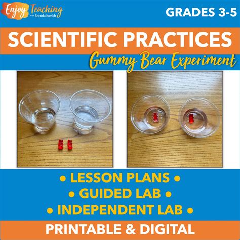 How To Make Testable Questions For Science