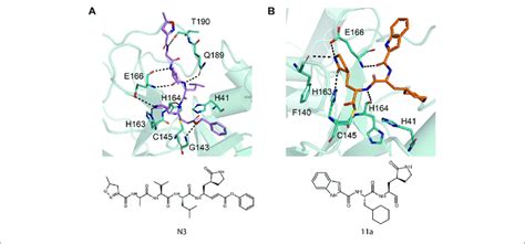 Close Up View Of The Interactions Between Sars Cov 2 Mpro With N3 And Download Scientific