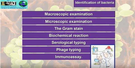 Identification Of Bacteria Food Safety Training