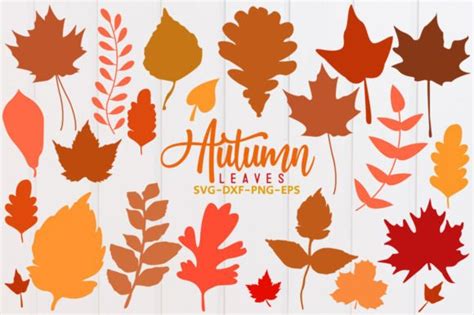 Fall Leaves SVG Bundle Graphic By Etcify Creative Fabrica