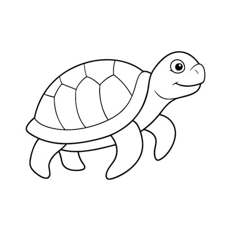 4 페이지 무료로 다운로드 가능한 거북이 색칠도안 벡터 And 일러스트 Freepik