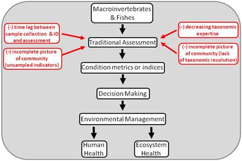 Dna Barcoding Conceptual Diagrams Of Bioassessment Research Water Research Us Epa