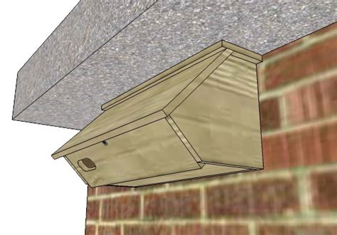 Action For Swifts Diy Swift Box Designs