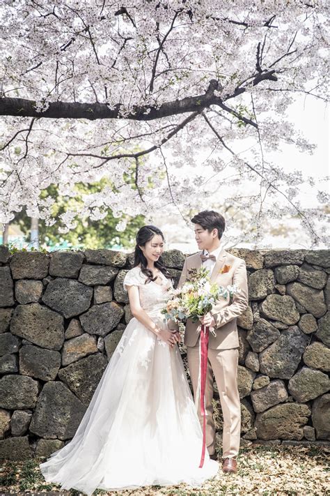 제주 웨딩 스냅 Cherry Blossom The Blick Photography