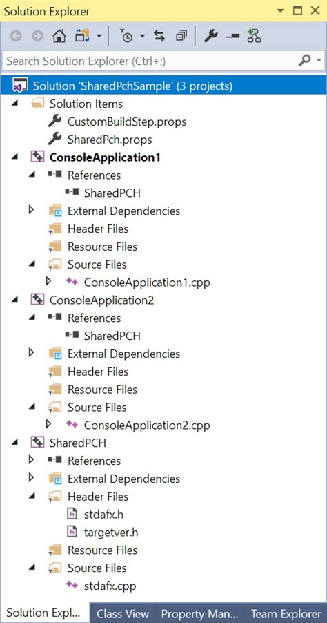 C Issues With Sharing Precompiled Header Stack Overflow