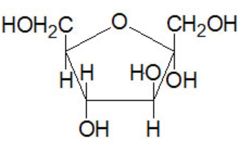 Fructose Molecule Labeled