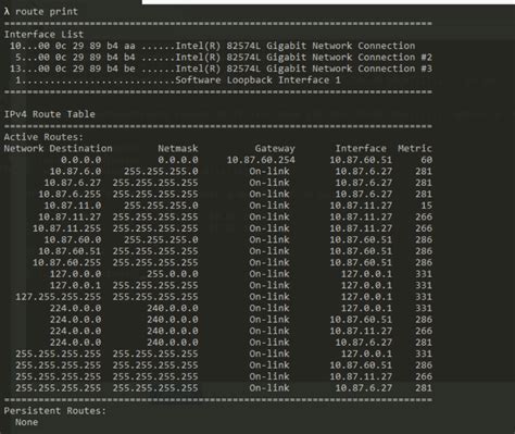 Networking Routing Issue For Windows With Multiple Nics Server Fault