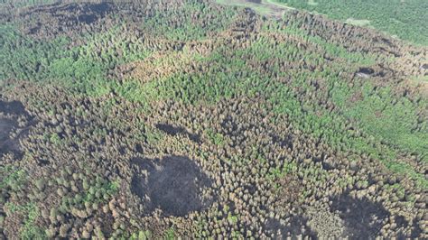 Ой хээрийн гал түймэр бүртгэгдсэн нь өнгөрсөн оны мөн үетэй харьцуулахад 50 3 хувиар өсжээ