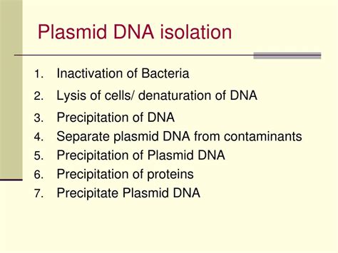 Plasmid Dna Isolation