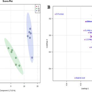 A PLS DA Score Plot And B Loading Plot Download Scientific Diagram