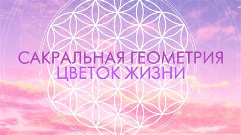 ПРАКТИКУМ САКРАЛЬНАЯ ГЕОМЕТРИЯ ЦВЕТОК ЖИЗНИ Youtube