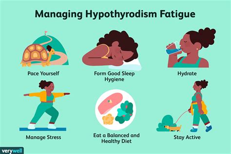Tsh Elevated What Does It Mean Possible Causes And Main Effect Of